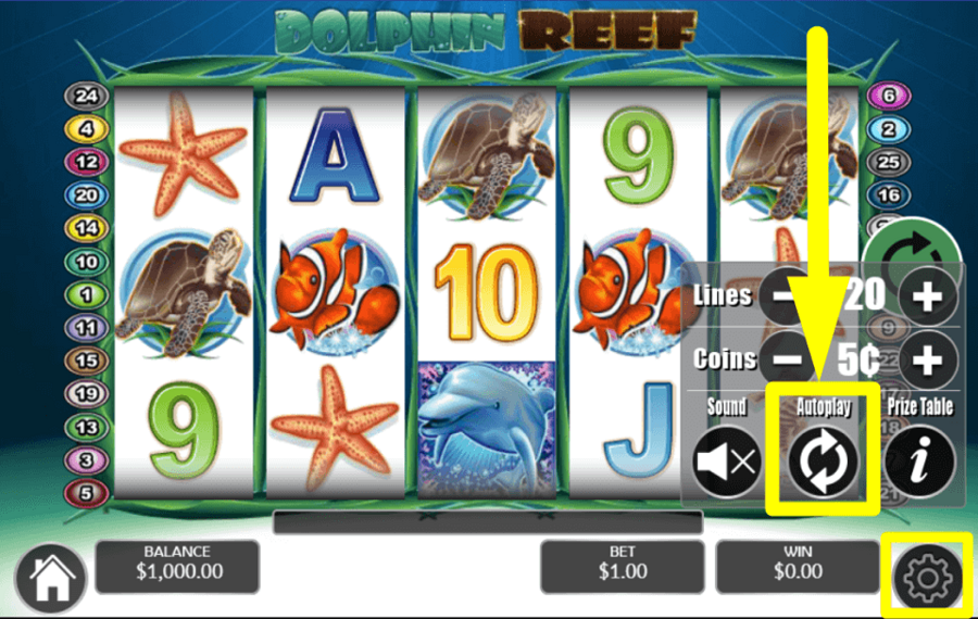 Dolphin Reef Slot by Playtech | Play for Free
