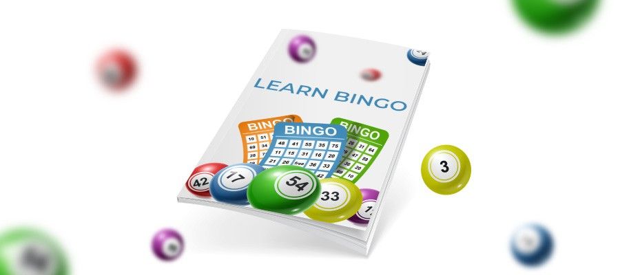 Bingo Guides Written by Experts | Chipy Academy