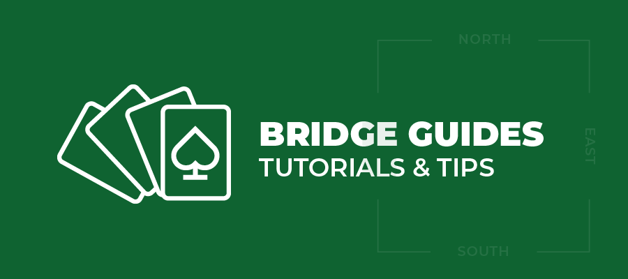 Bridge Guides Written by Experts | Chipy Academy